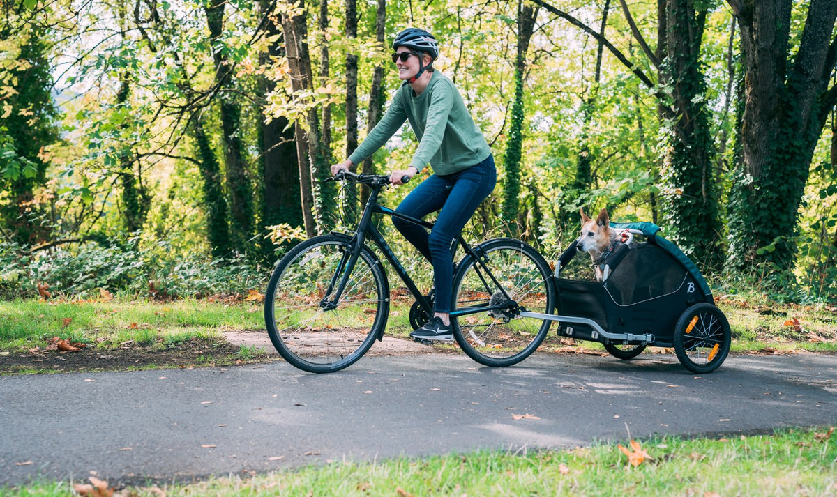 Reflecting on 5 Years at Burley