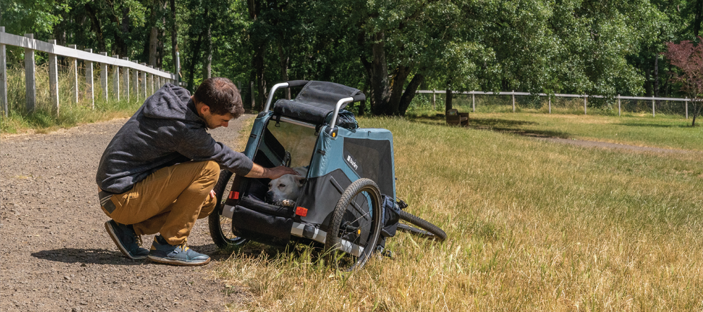 Bike Trailers & Accessories for Pets | Burley
