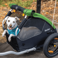 Kid Trailercycles: Tag Along Bike Attachments | Burley
