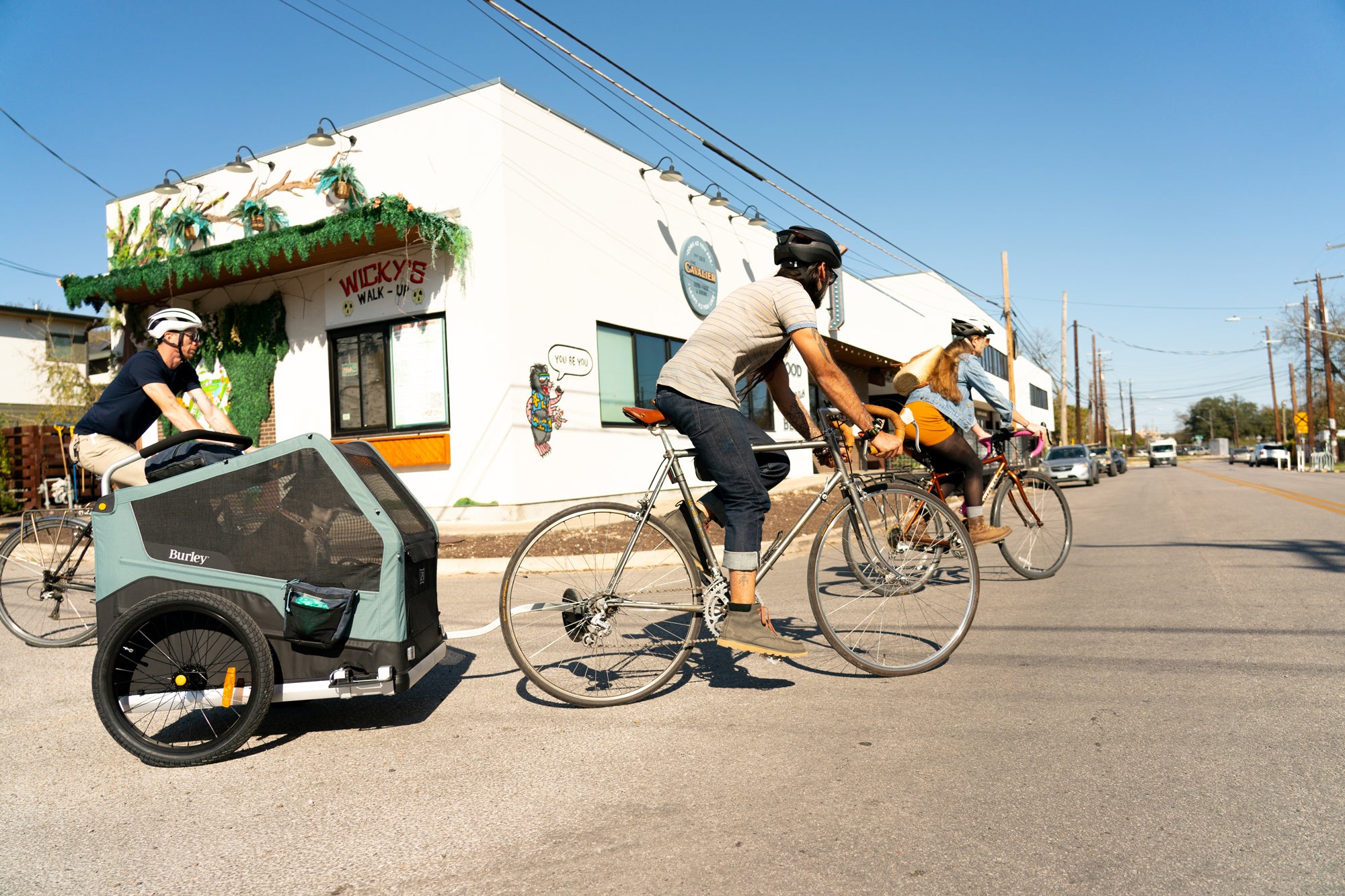Dog & Pet Bike Trailers | For Dogs of All Sizes | Burley