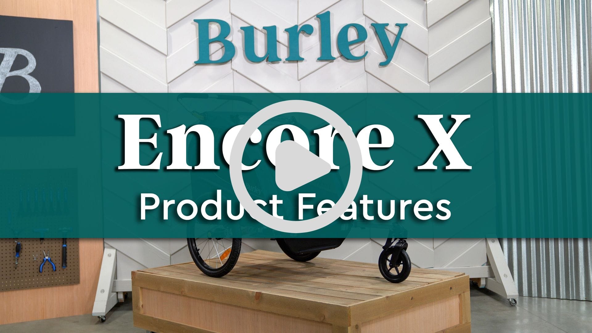 Encore® X Child Bike Trailer - Burley