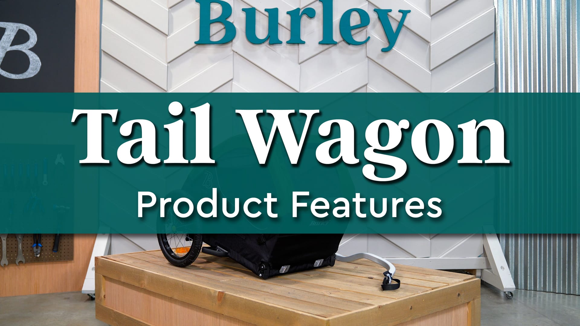 Tail Wagon® Dog Bike Trailer - Burley